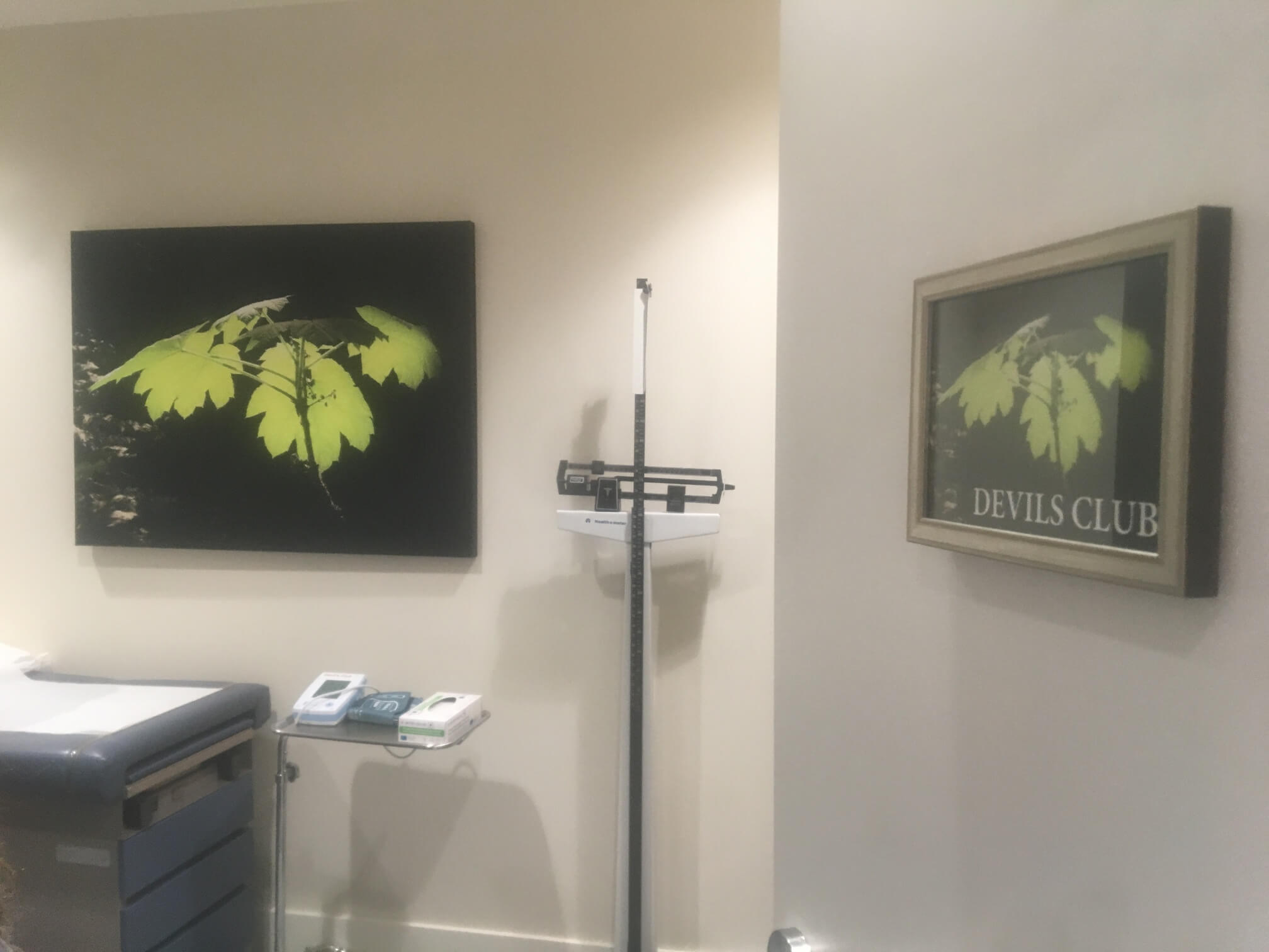 First Peoples Interior Design – Art of the Raven Design Co.